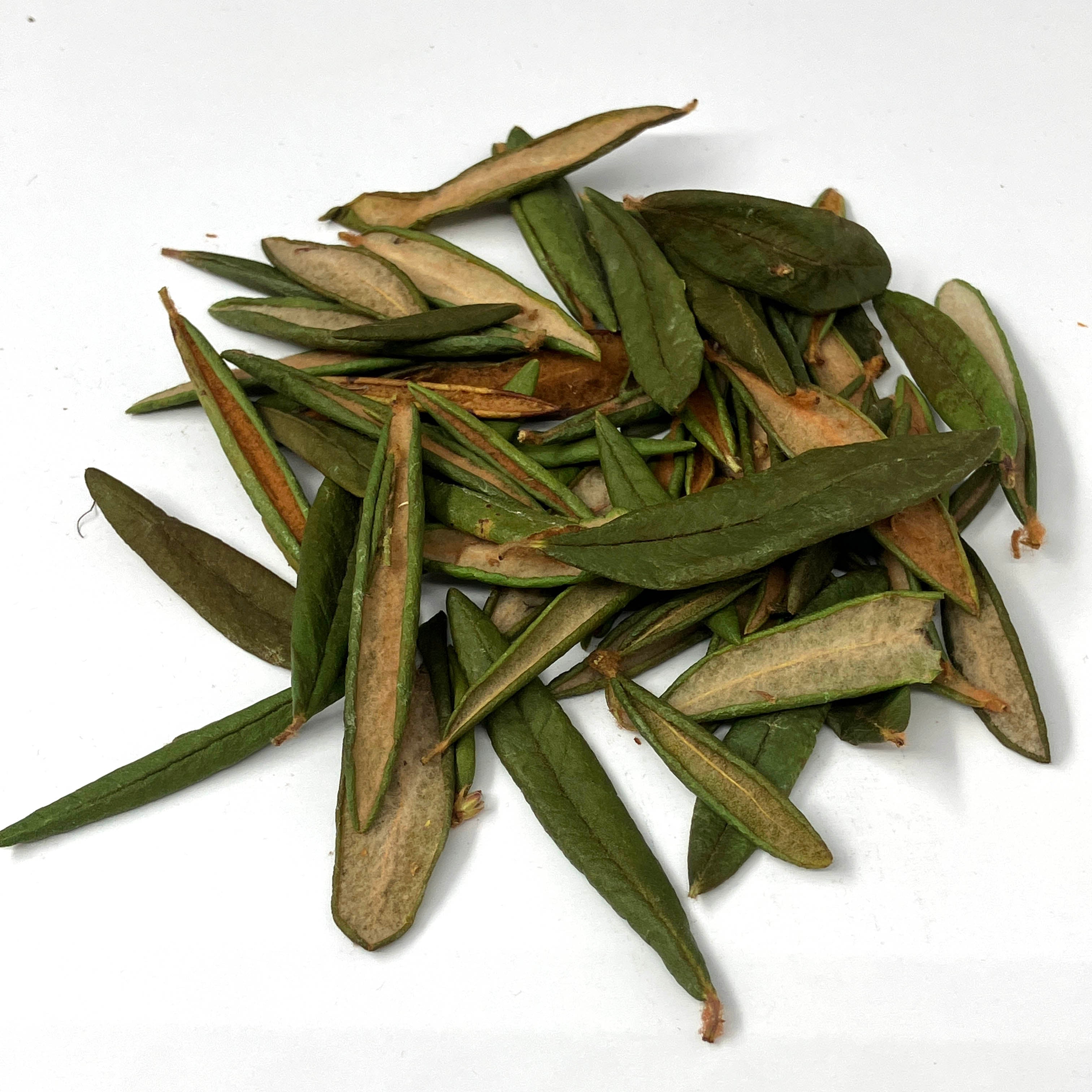 Labrador Tea – The Tea Girl